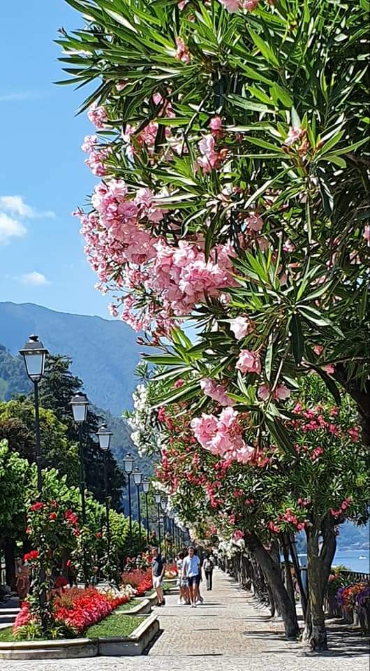 A Guide to Lake Como | Dare, Dream, Discover